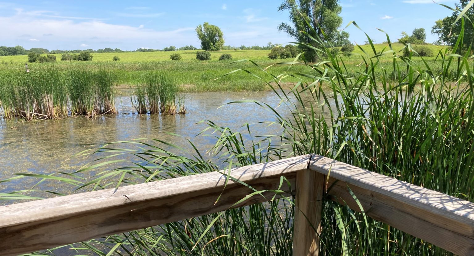 Trails & Habitats - River Bend Nature Center